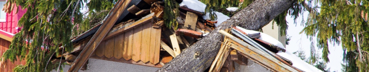 Trees and Roof Damage | WeatherTech Roofing | San Antonio Roofing Company